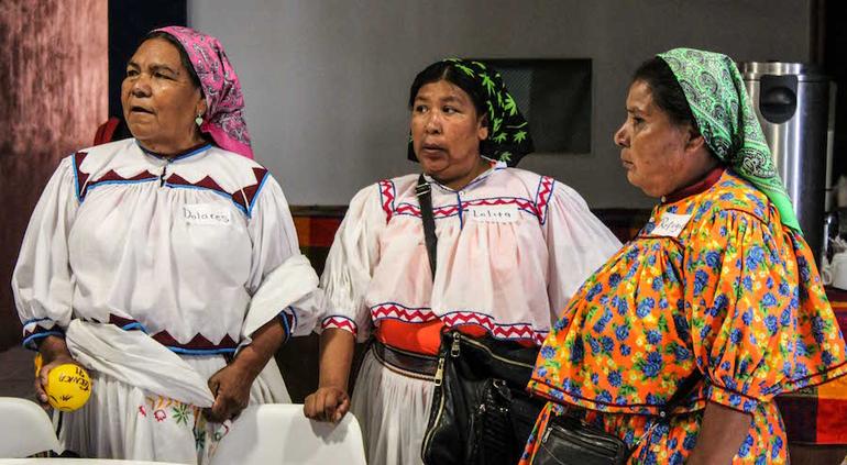 La Comisión Estatal para los Pueblos Indígenas (Coepi), reunió a ...