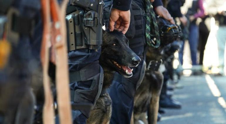 Presentan 10 nuevos canes K9 en renovado campo de entrenamiento