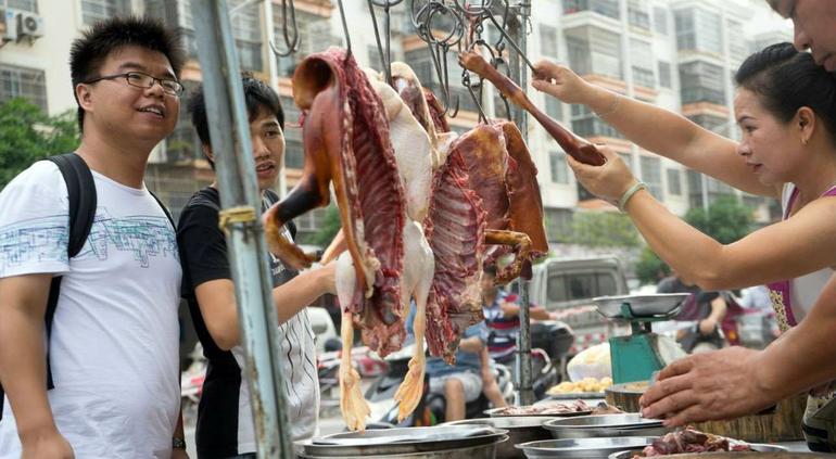 Es Comida China Perros Y Gatos