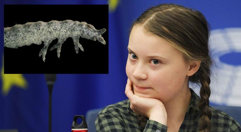 Bautizan animal como "Friesea gretae" en honor a Greta Thunberg