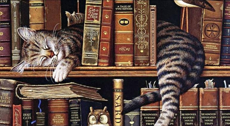 ¿Dónde está el gato? nuevo reto viral de los amos del escondite