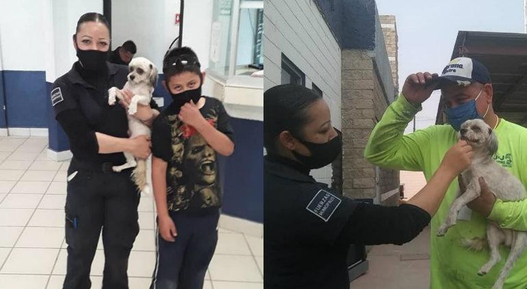 Roberto, el perrito que deambulaba por Misiones regresó con su familia