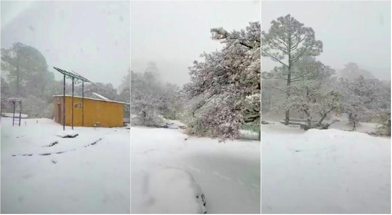 ¡Impresionante! Cae fuerte nevada en Majalca 📹