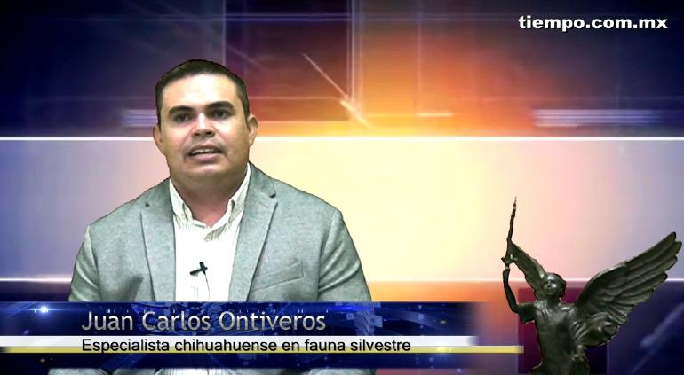 Abandono cambia comportamiento de perros y atacan humanos: Ontiveros