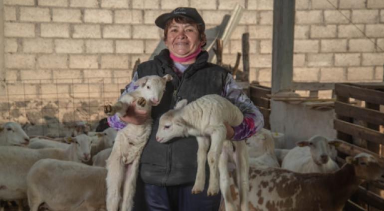 Agricultura y ganadería sectores donde más participan mujeres: SADER