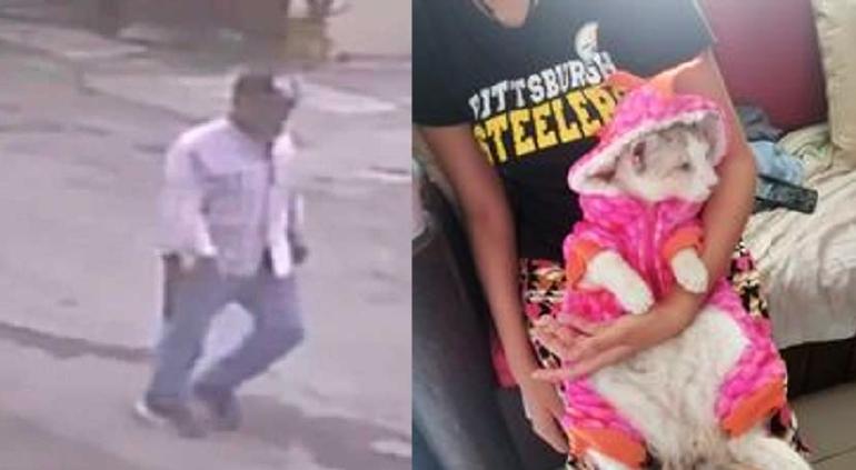 Buscan en Veracruz a hombre que mató a gato con una pedrada