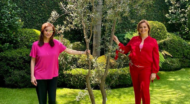“Olivos, símbolo de paz”: Lilly Téllez recibe a Maru Campos