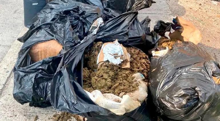 Asegura Policía De León 90 Kilos De Marihuana Abandonados En La Calle