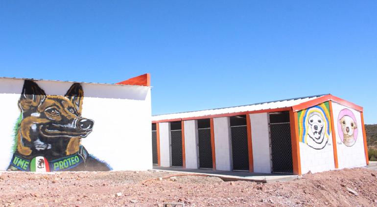 Terminan refugio animal “Prometeo”, en honor a perro rescatista