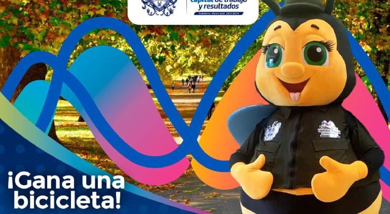 Busca abeja de Municipio nombre, así puedes proponer ideas