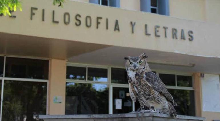 ¿Eres egresado de Filosofía y Letras? La facultad te busca