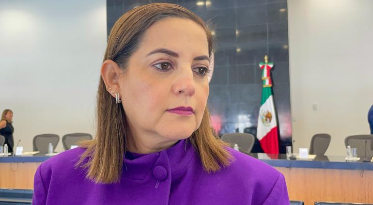 La magistrada presidenta del Tribunal Superior de Justicia del Estado ...