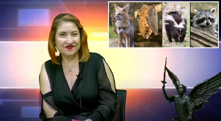 Vemos relajación, puede regresar la rabia: investigadora Edith Rojas