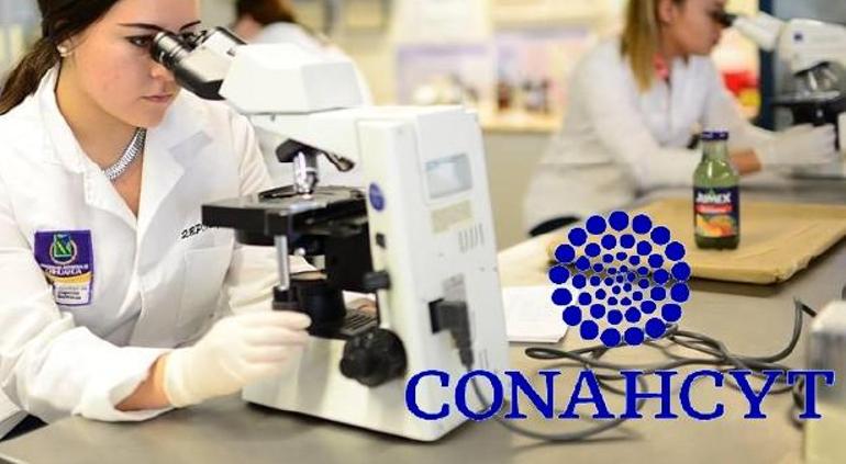 Crece Investigación Uach Con 374 En El Sni De Conahcyt