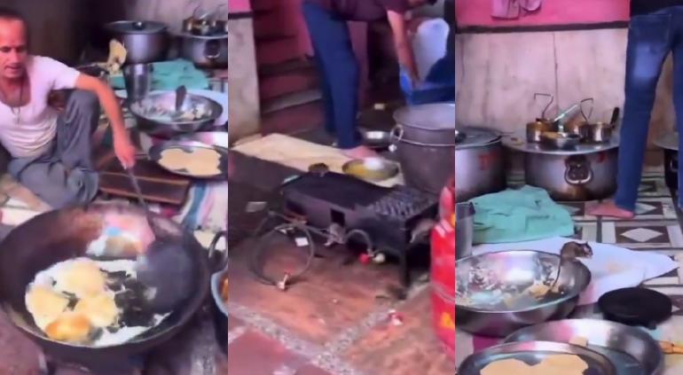 Viralizan video de ¡ratas! en mercado de comida en la India 🎦