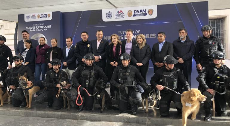 ¡Nuevos elementos! Siete perros K9 se integran a filas de la Policía