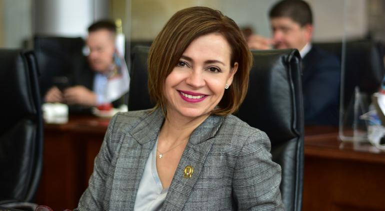 La diputada plurinominal panista, Rosa Isela Martínez Díaz, se integró ...
