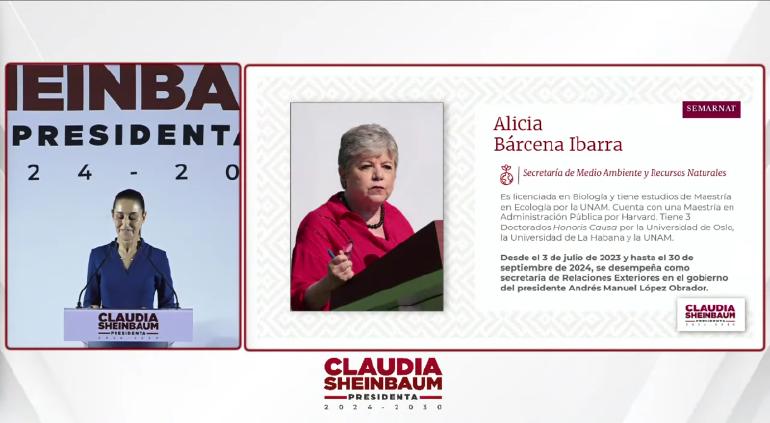 ¿Quién es Alicia Bárcena, próxima secretaria de Semarnat?