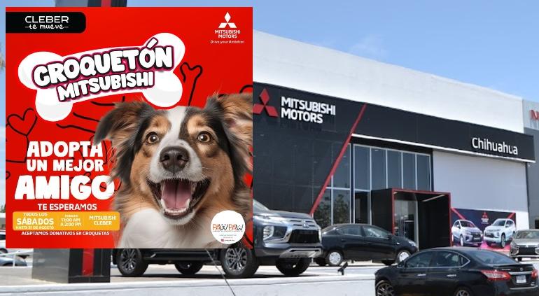 Croquetón en Mitsubishi; recibirán donativos y podrás adoptar perritos