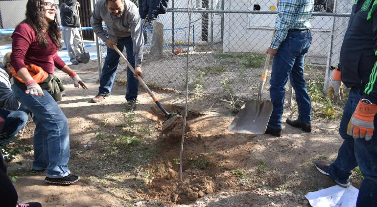 Plantaron 27 olmos dentro y fuera de la preparatoria CETIS 61